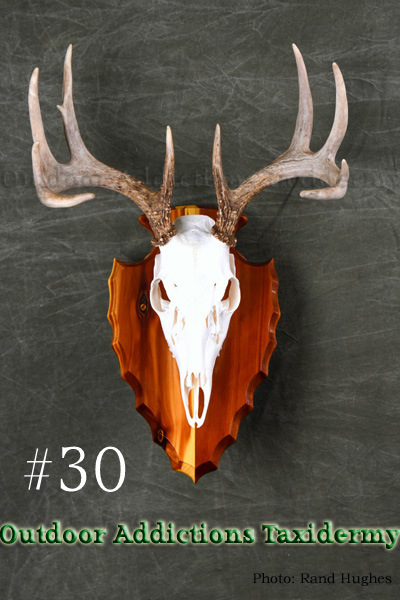 Outdoor Addictions Taxidermy