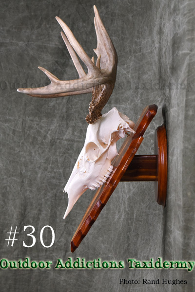 Outdoor Addictions Taxidermy