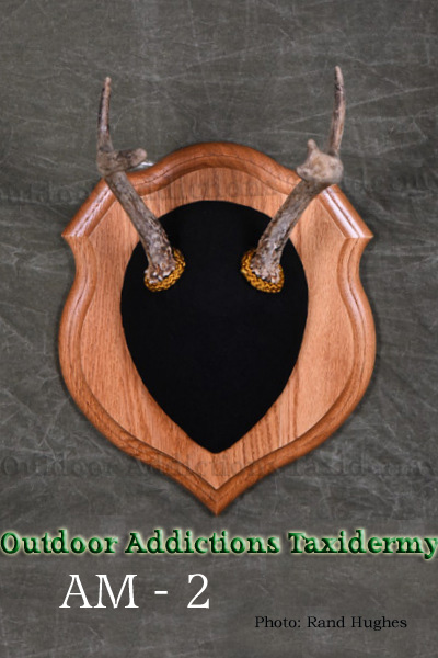 Outdoor Addictions Taxidermy