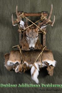 Outdoor Addictions Taxidermy