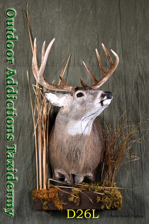 Outdoor Addictions Taxidermy