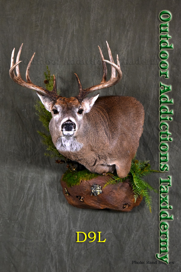 Outdoor Addictions Taxidermy