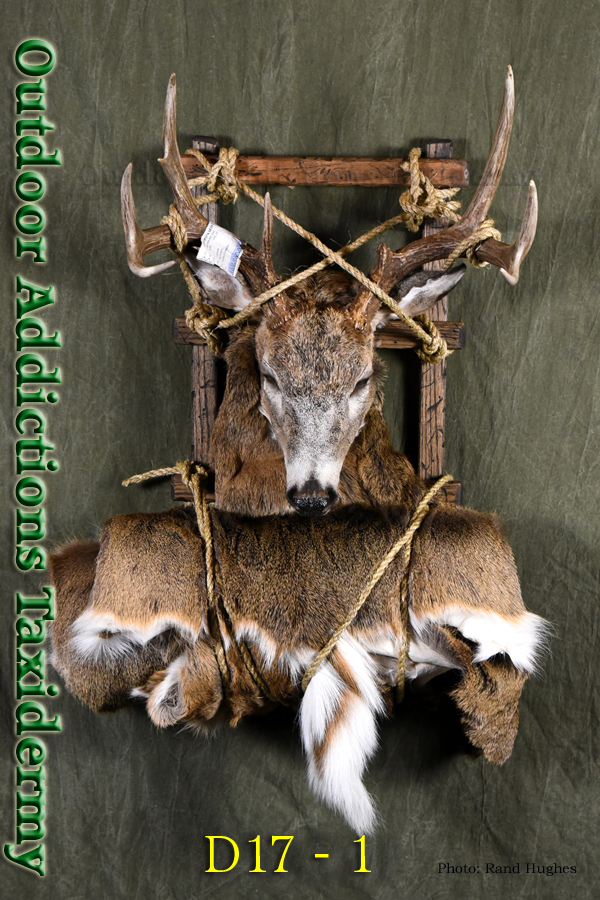 Outdoor Addictions Taxidermy